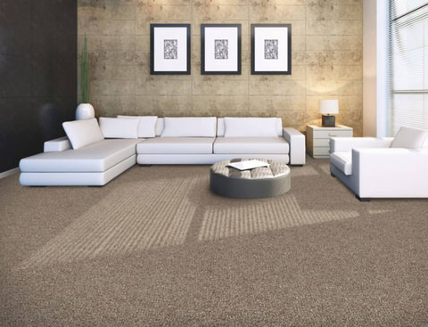 Carpet Buying Guide | HOM Furniture