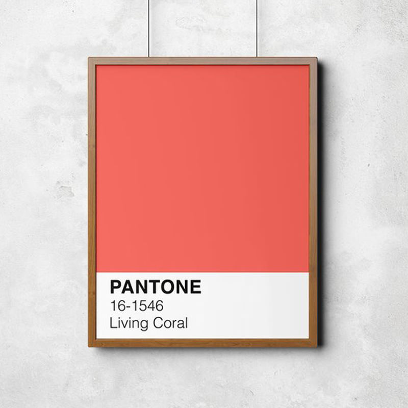 Pantone 2019 Color of the Year - design blog by HOM Furniture