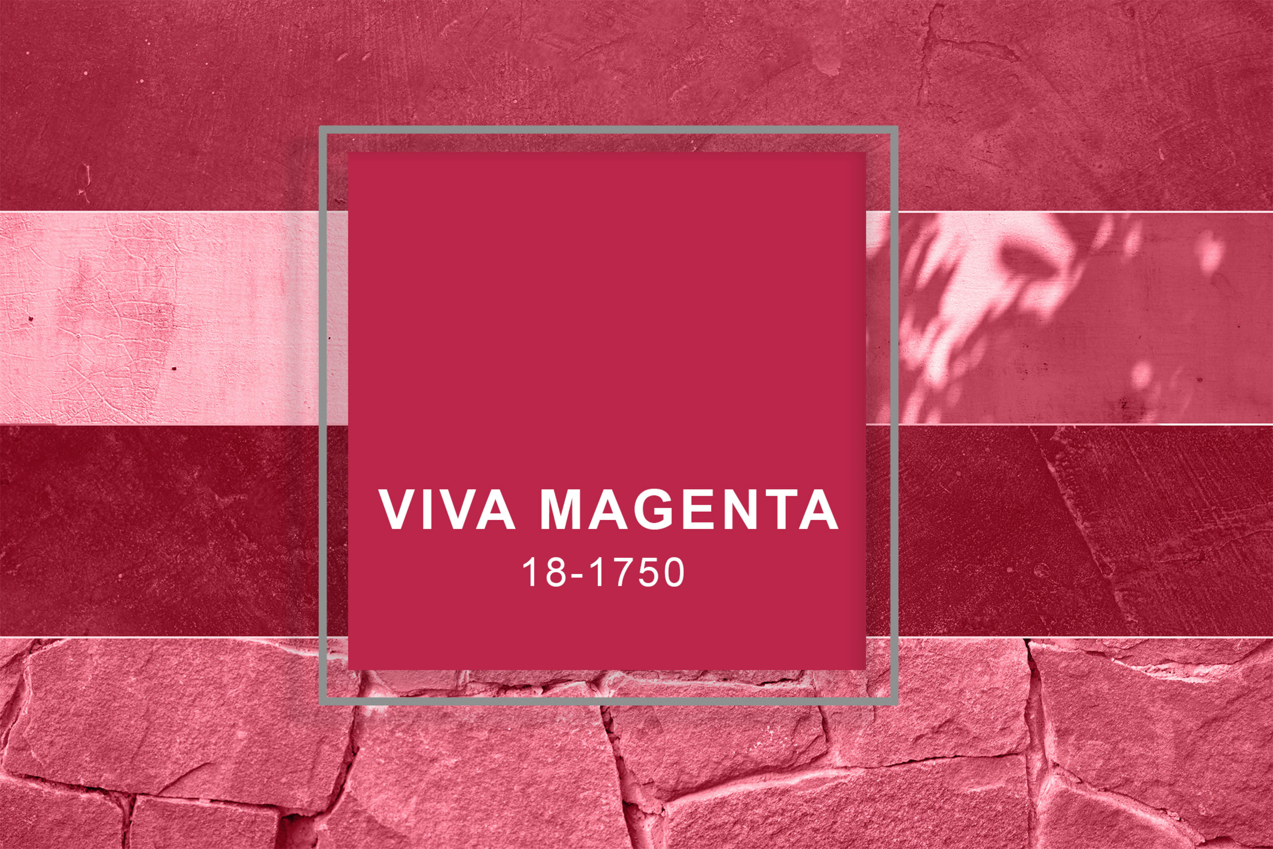 Pantone 2023 Color of the Year: Viva Magenta - design blog by Gabberts